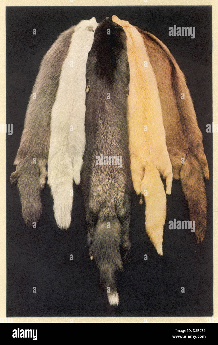 1931 fashion hi-res stock photography and images - Alamy