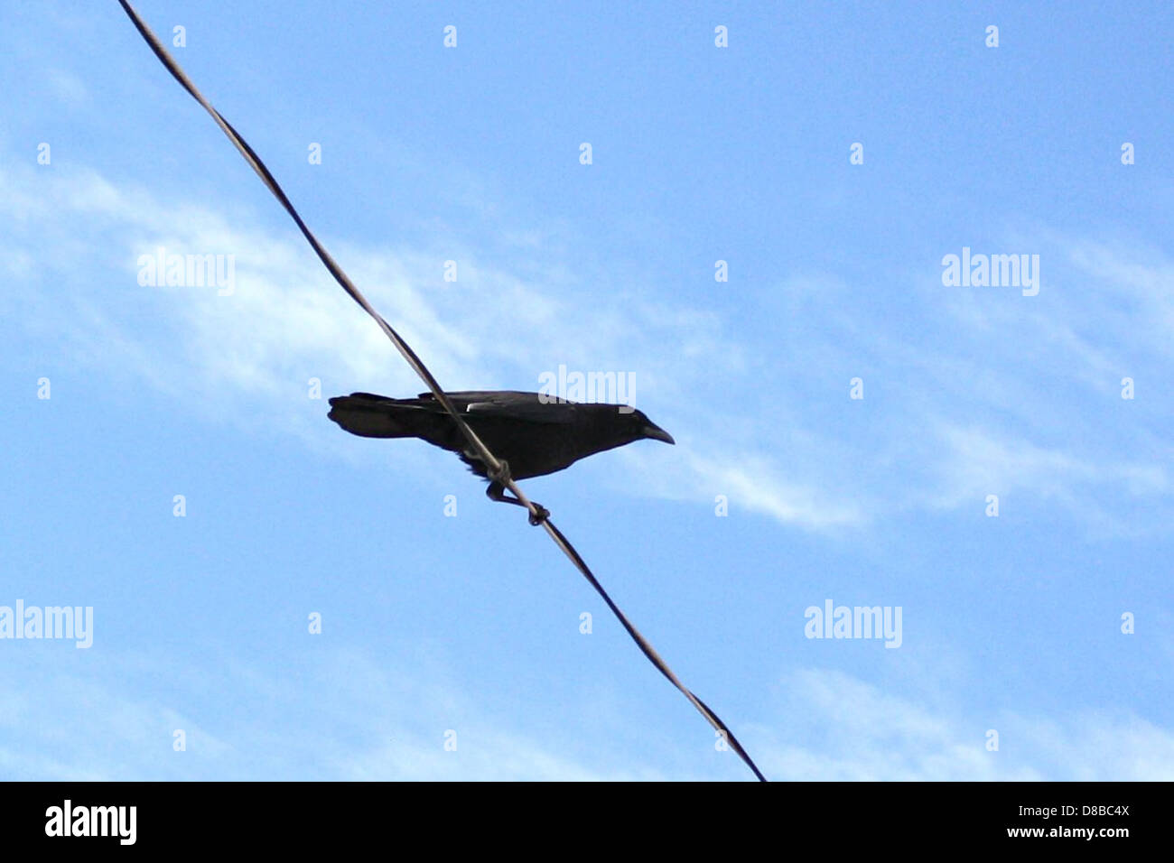 Wire stock photo hi-res stock photography and images - Alamy