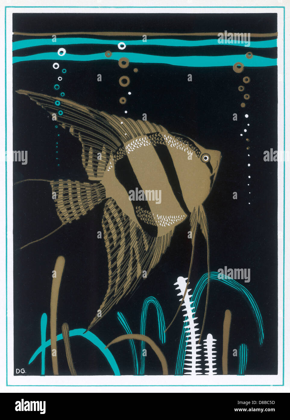 ANGEL FISH ILLUSTRATION Stock Photo - Alamy
