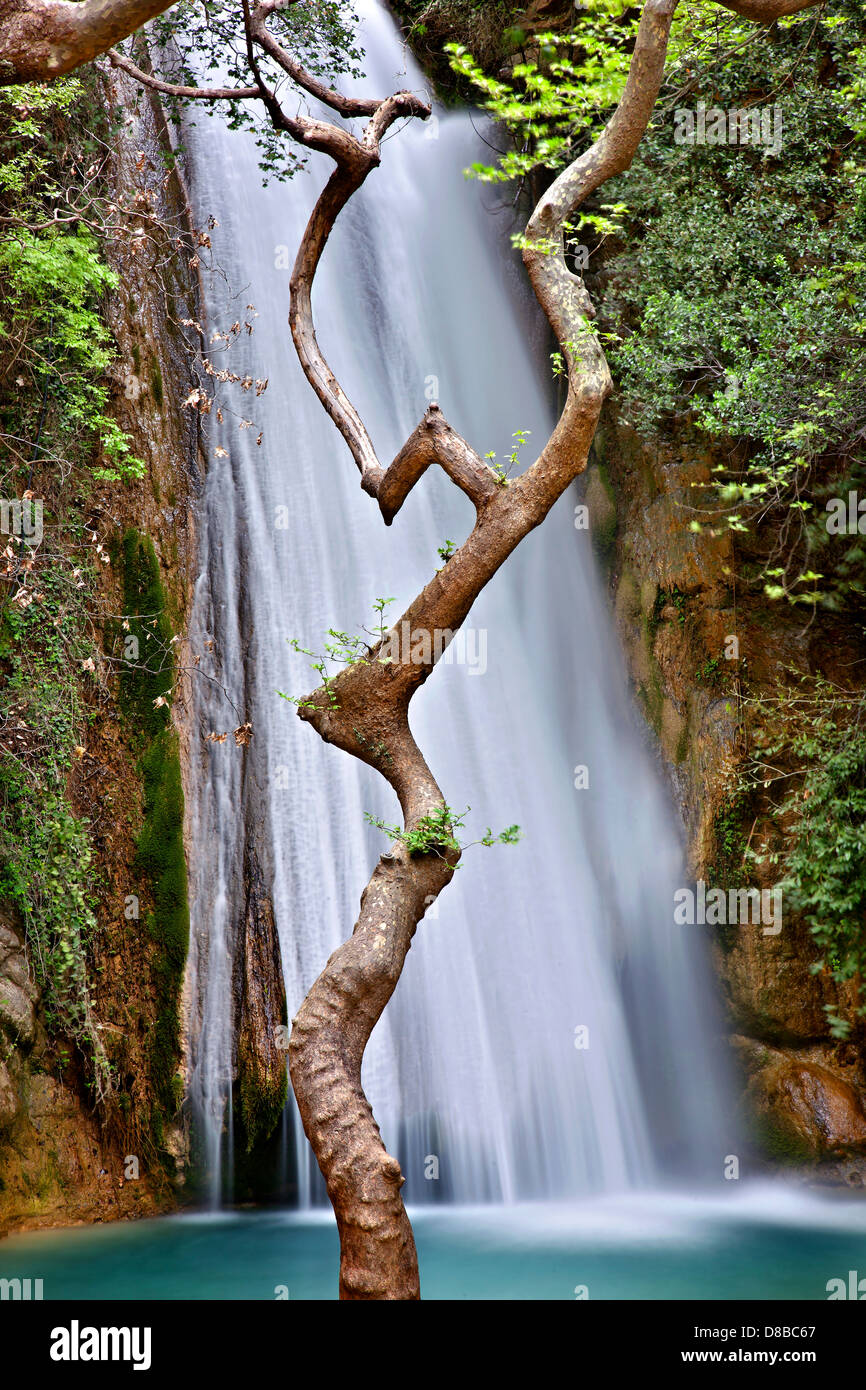 One of the waterfalls in Neda canyon, Ileia-Messinia, Peloponnisos (Peloponnese), Greece Stock ...
