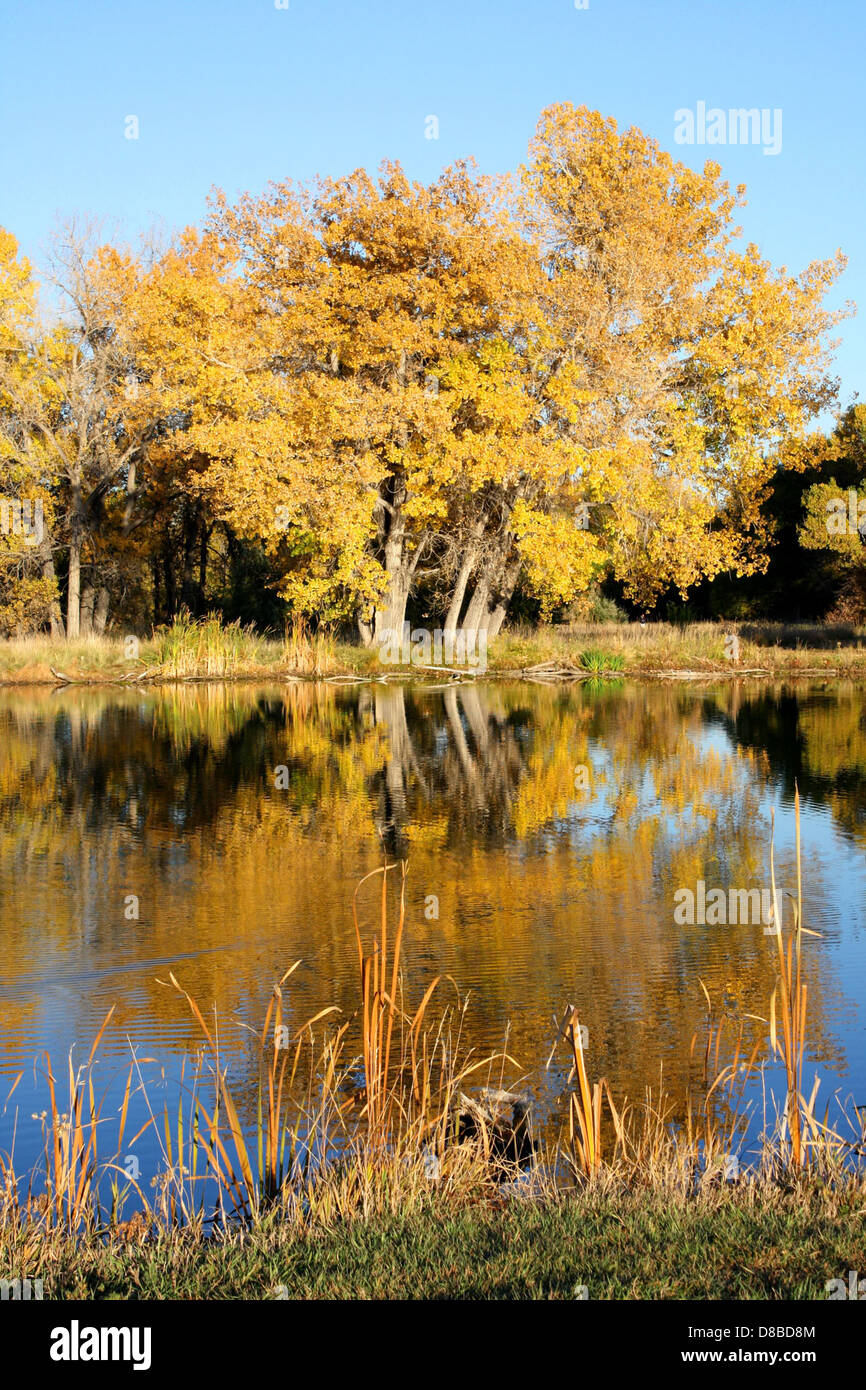 Fall body hi-res stock photography and images - Alamy