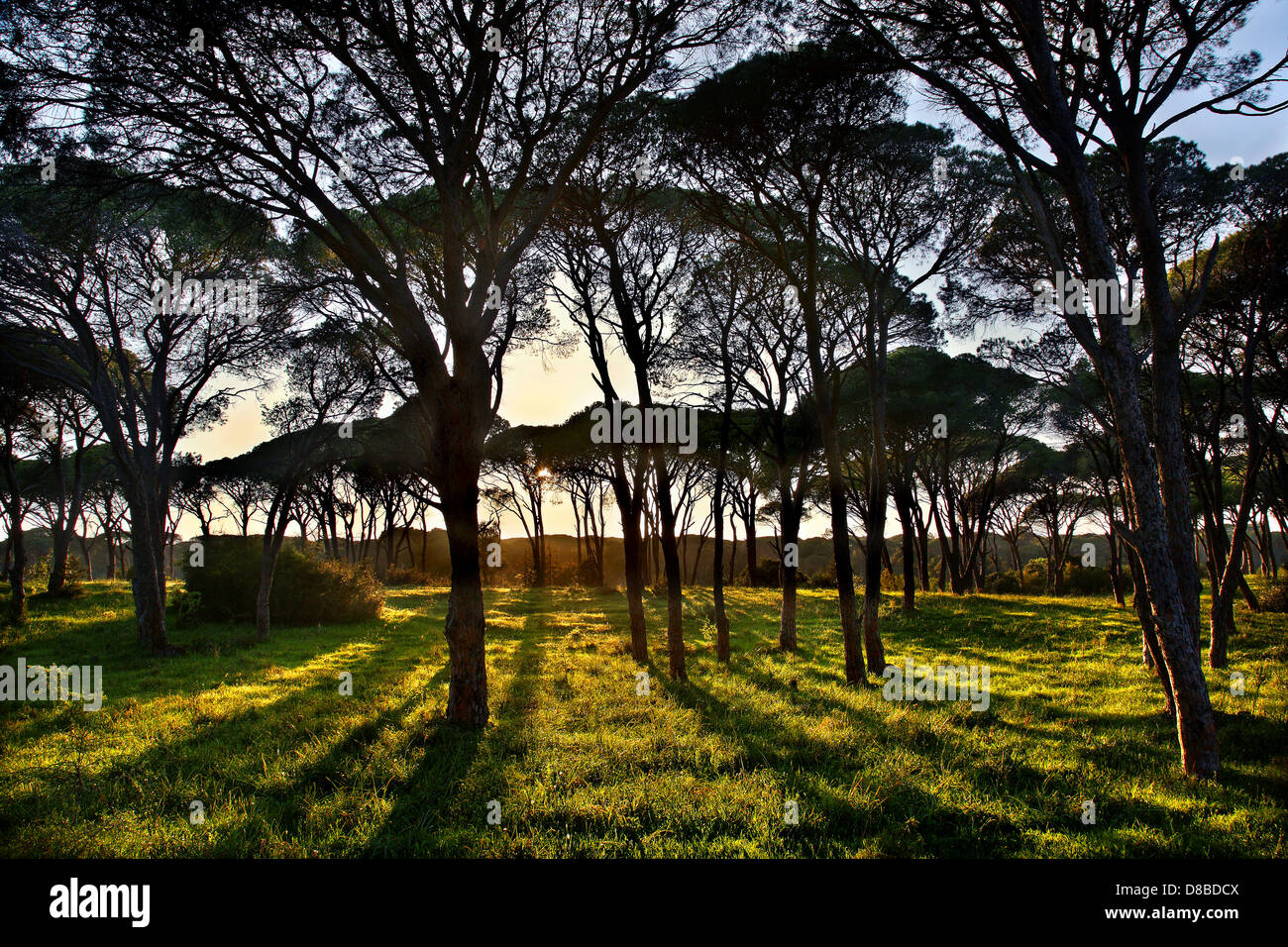 Achaia hi-res stock photography and images - Alamy