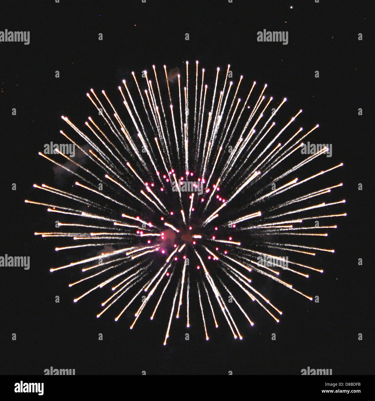 A vibrant display of fireworks in white and pink starburst patterns ...