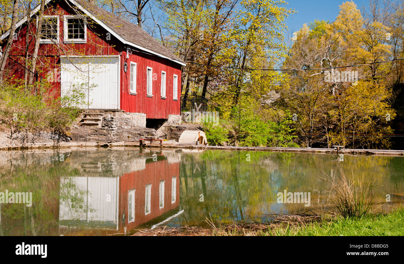 Morningstar hi-res stock photography and images - Alamy