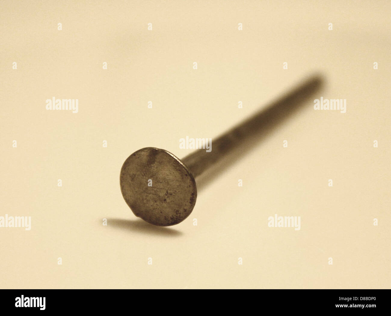 A stock photo of a galvanized nail head. The nail has a shiny, metal ...