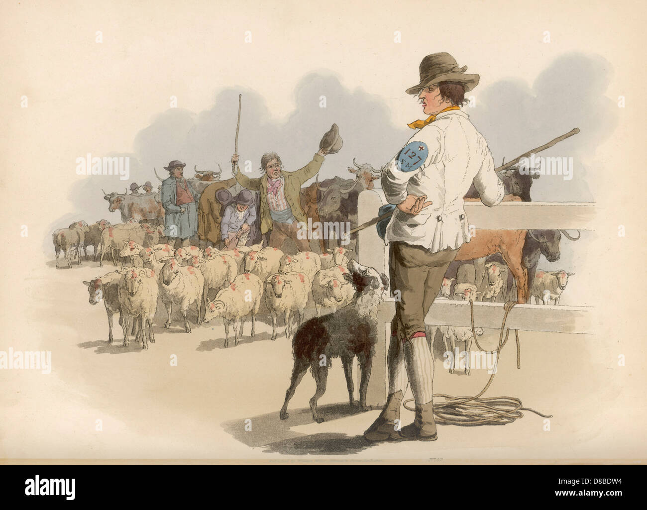 Cattle drover london hi-res stock photography and images - Alamy