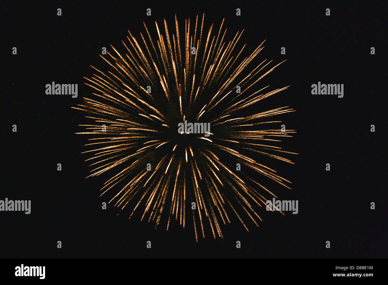 A burst of golden starburst fireworks lighting up the night sky. The ...