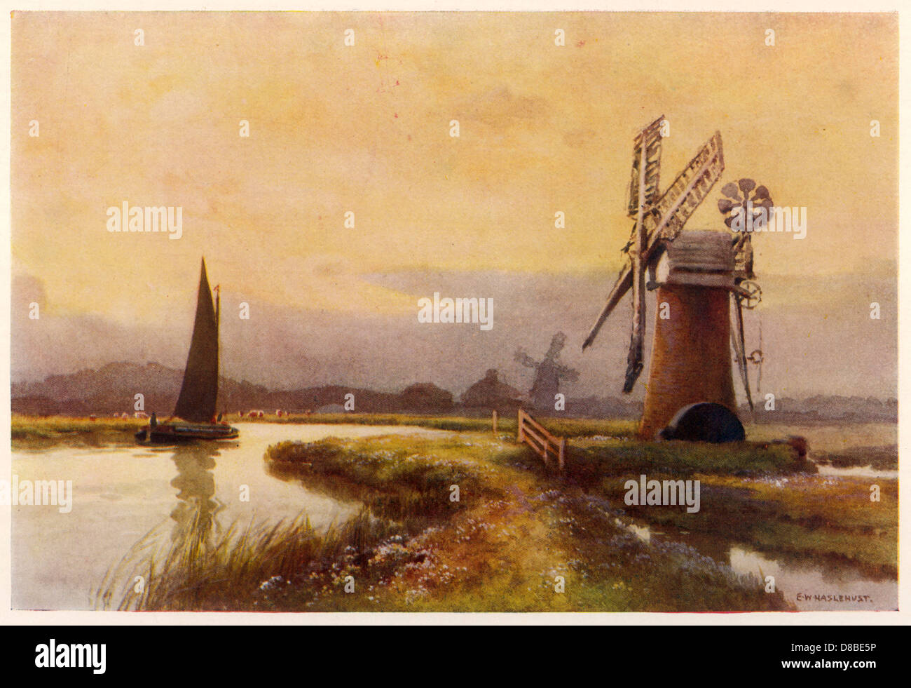 BROADS - DRAINAGE MILLS Stock Photo - Alamy