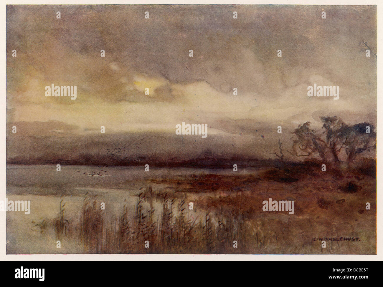 Hickling hi-res stock photography and images - Alamy