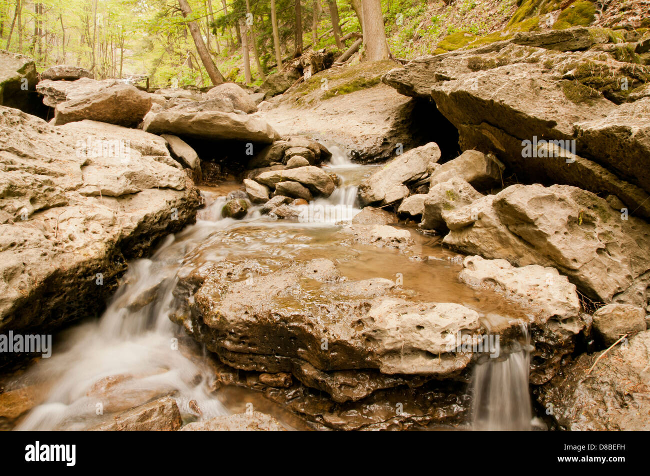 Wide angle of woodland stream and small waterfall Stock Photo - Alamy