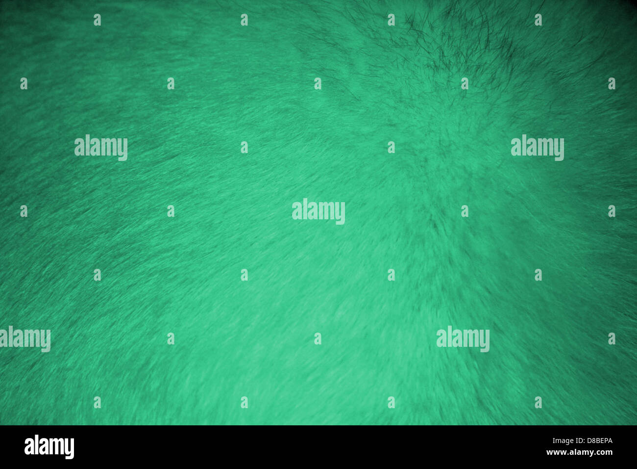 green fur texture Stock Photo - Alamy