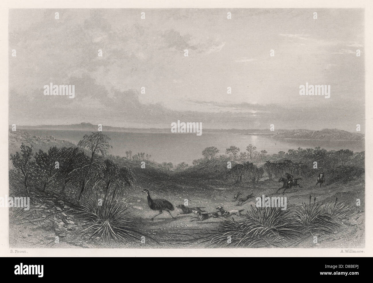 LAKE ALBERT, AUSTRALIA Stock Photo - Alamy