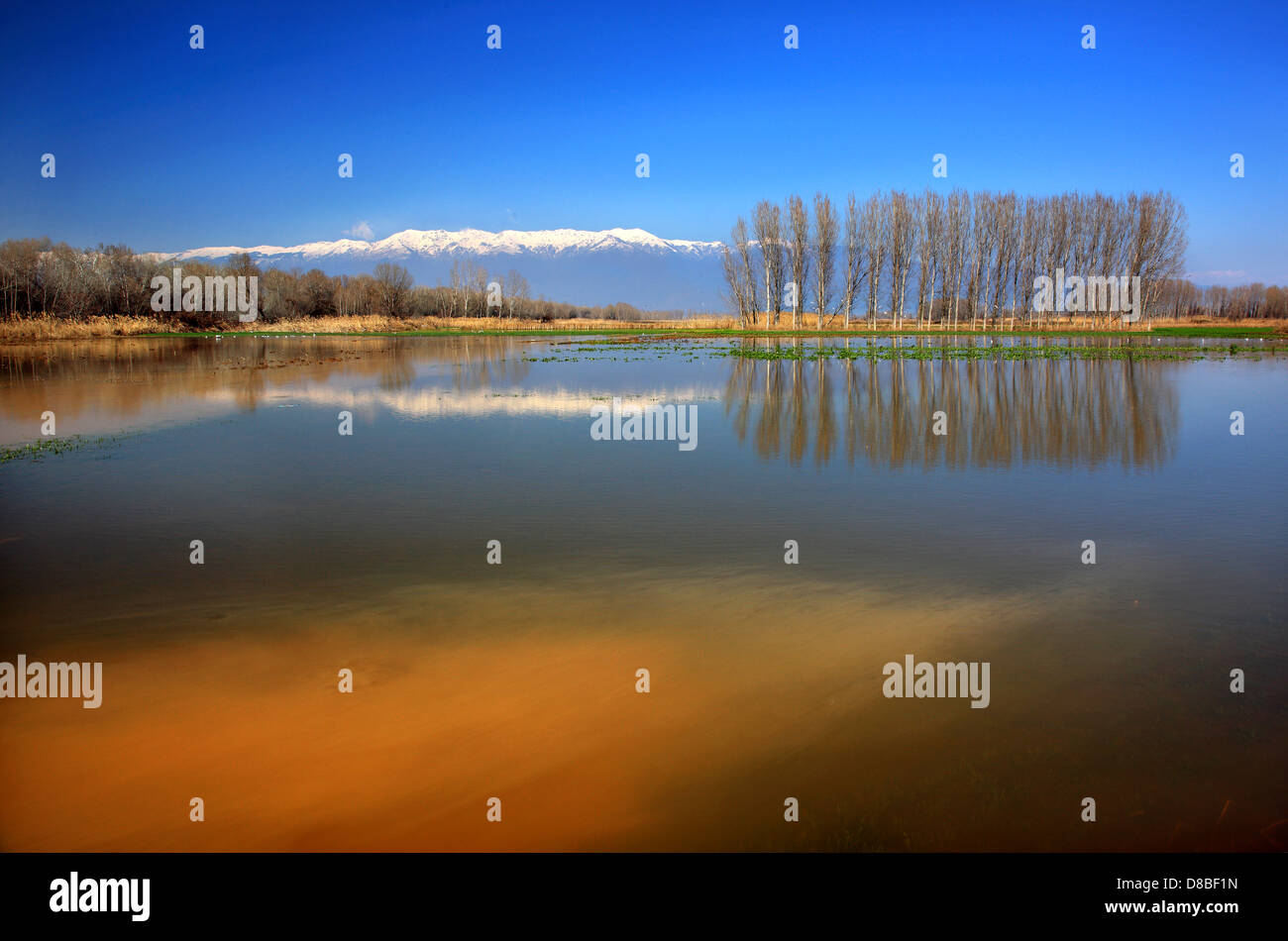 Flooded fields very close to the dam of Kerkini lake at Lithotopos ...