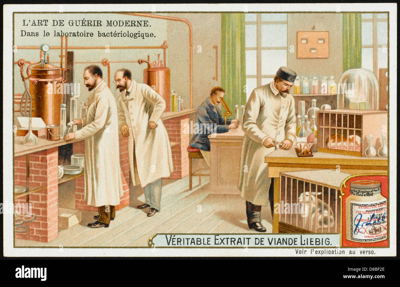 TESTING ON ANIMALS Stock Photo - Alamy