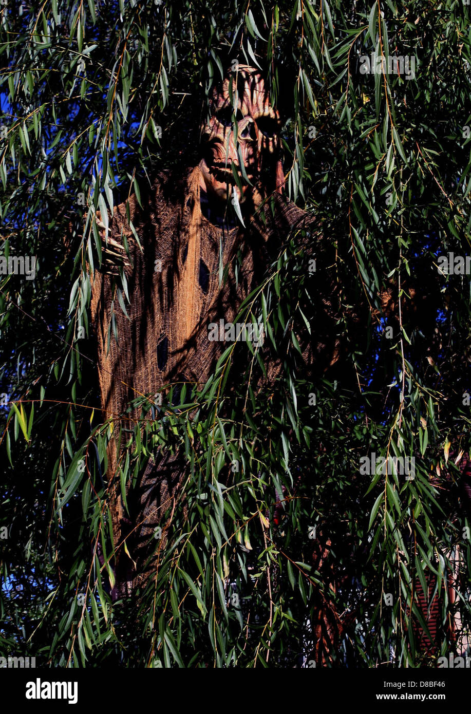 Ghost with a haunted tree hi-res stock photography and images - Alamy