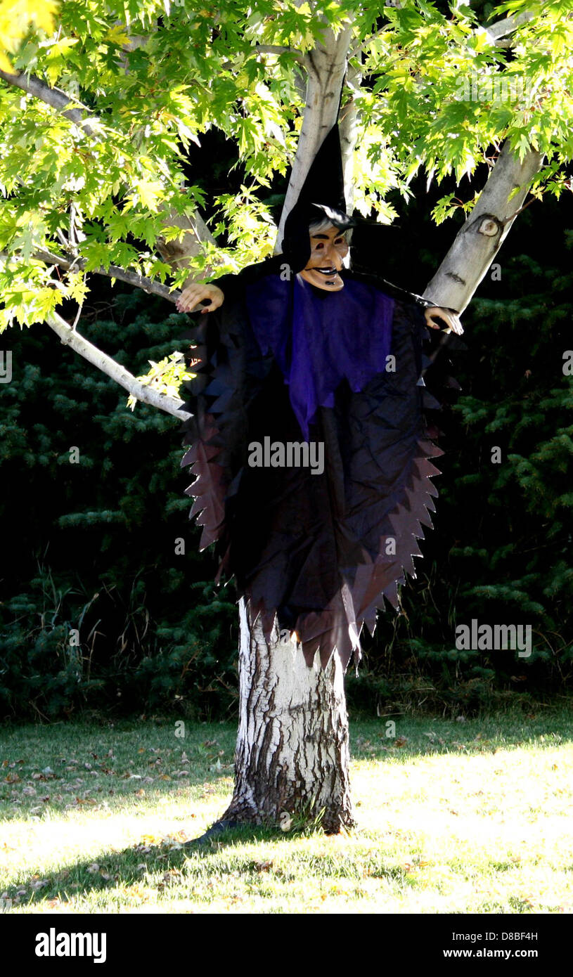 This image shows a witch in a tree, possibly for a Halloween setting ...