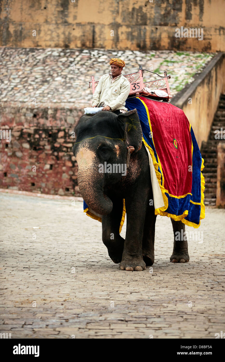 India elephant culture hi-res stock photography and images - Alamy