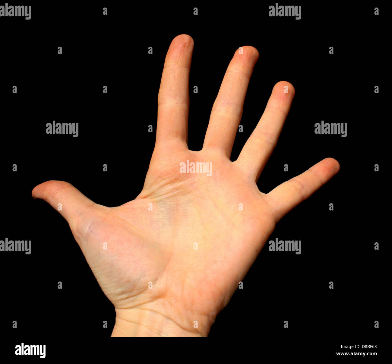 A close-up of a human hand, showing details of the skin, nails, and ...