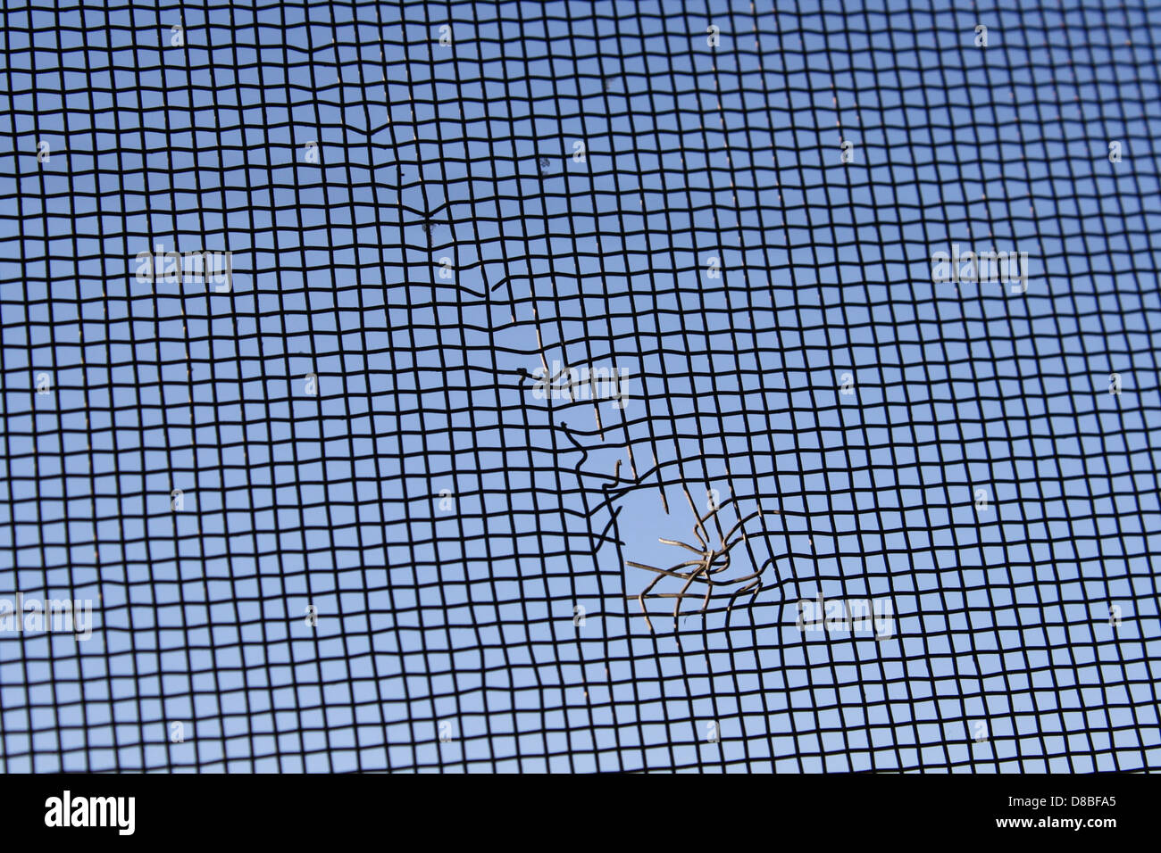 A close-up shot of a hole in a screen, showing the torn mesh material ...