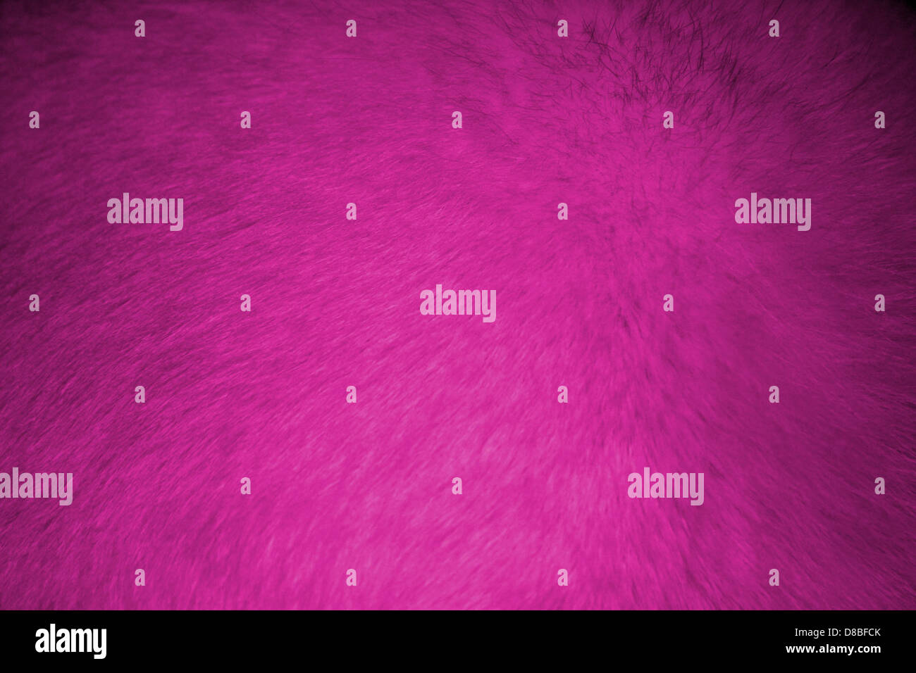 hot pink fur texture Stock Photo - Alamy