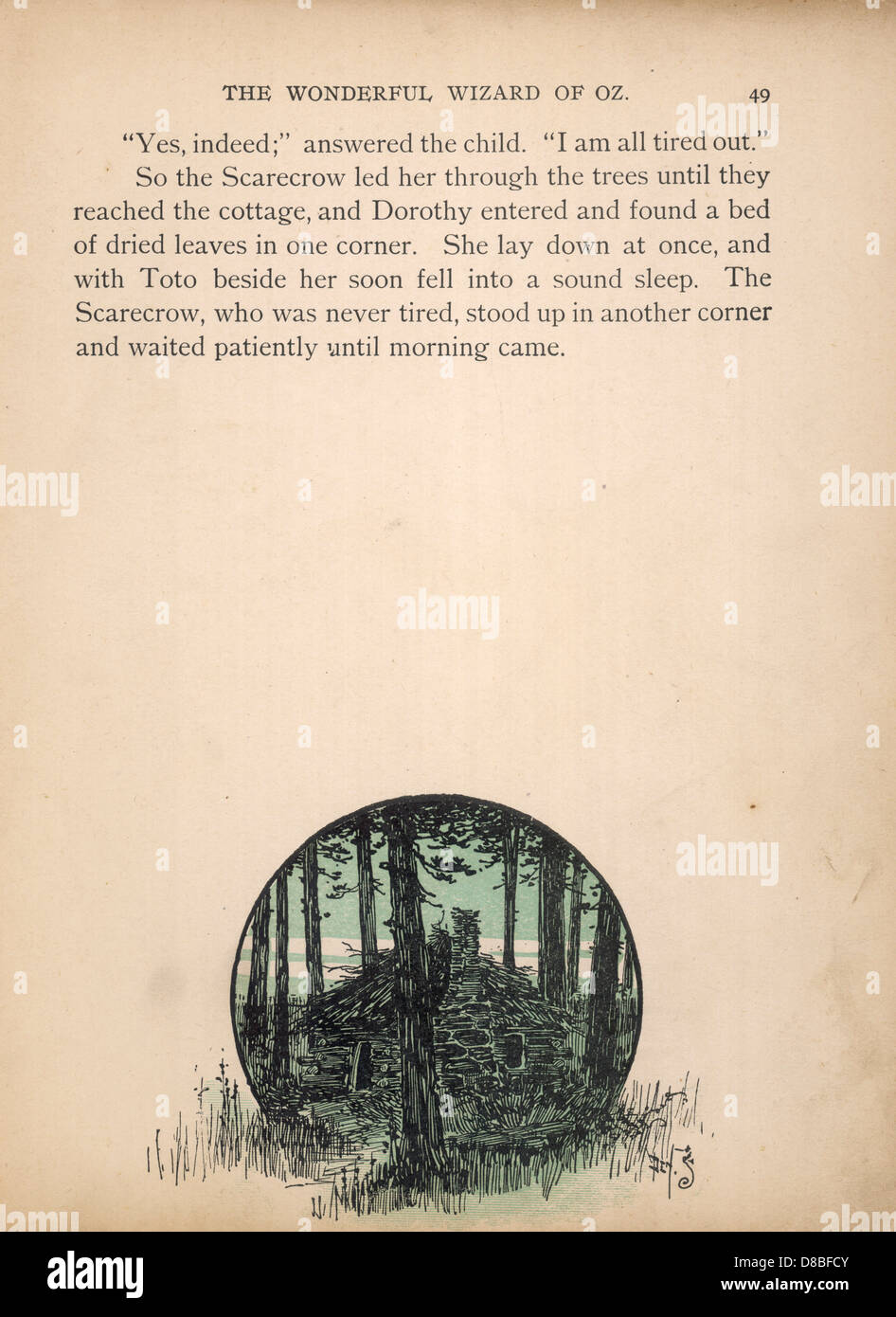 Wizards Of Oz Forest Trees