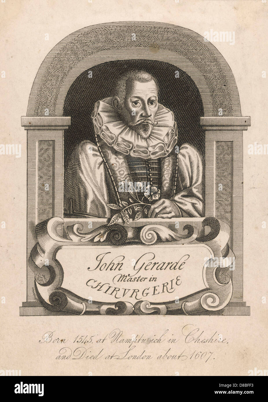 John Gerard, Herbalist Stock Photo - Alamy