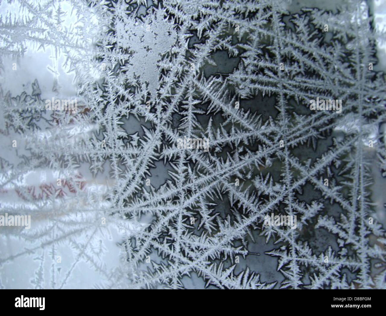 This image shows a close-up of ice crystals forming on a window. The ...