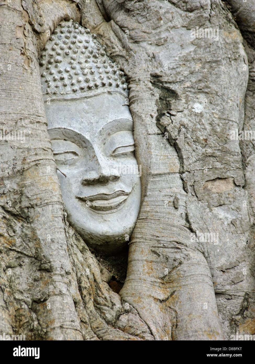 Buddha bodhi tree hi-res stock photography and images - Alamy