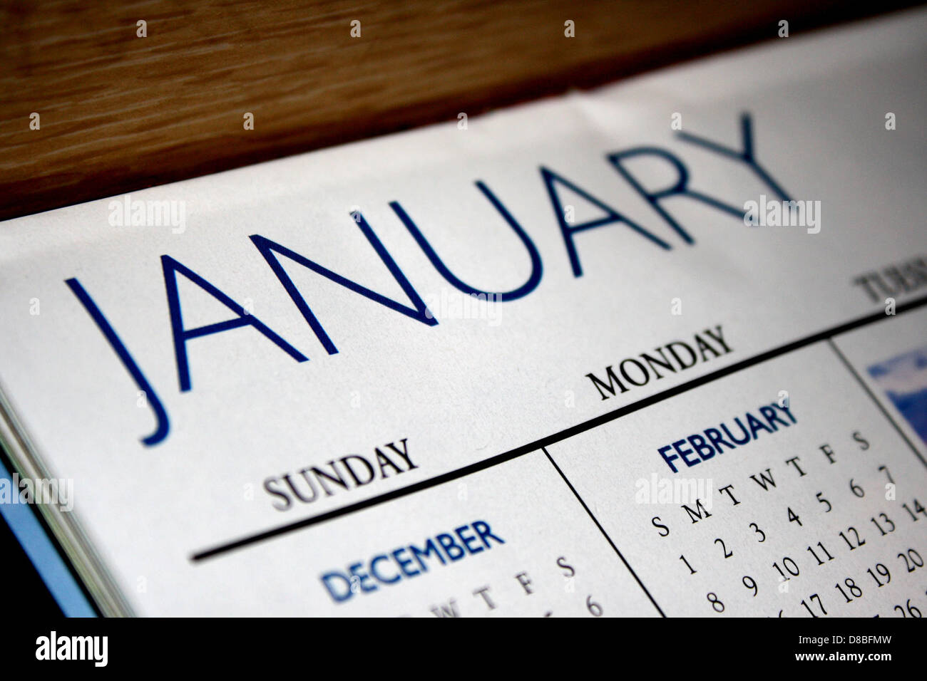 This image displays a calendar page for January, with the days of the ...