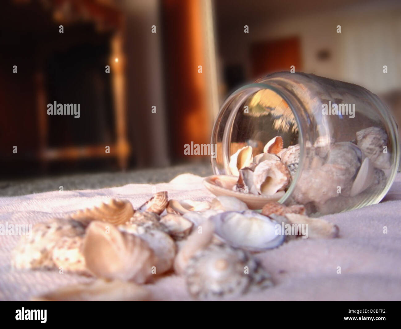 A jar filled with a variety of sea shells, showcasing the diversity of ...
