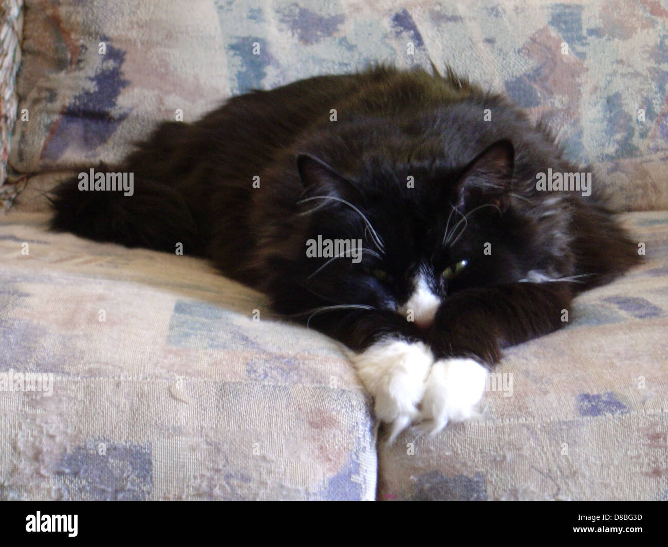 Kilroy was here hi-res stock photography and images - Alamy