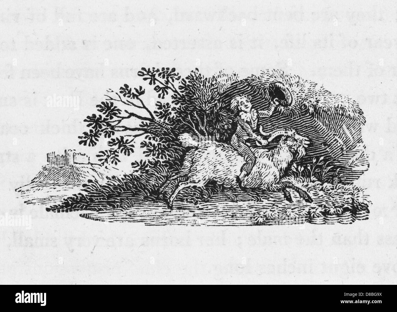 BEWICK - BOY & SHEEP Stock Photo - Alamy