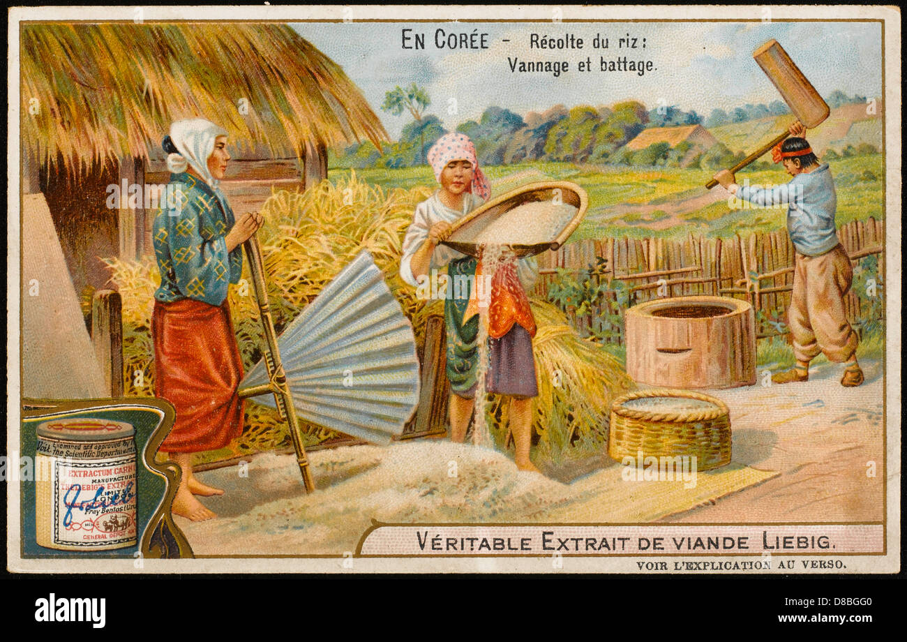 RICE IN KOREA Stock Photo - Alamy