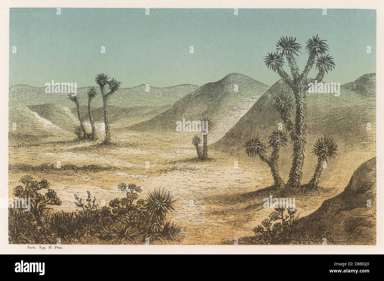 GREAT BASIN, USA Stock Photo - Alamy