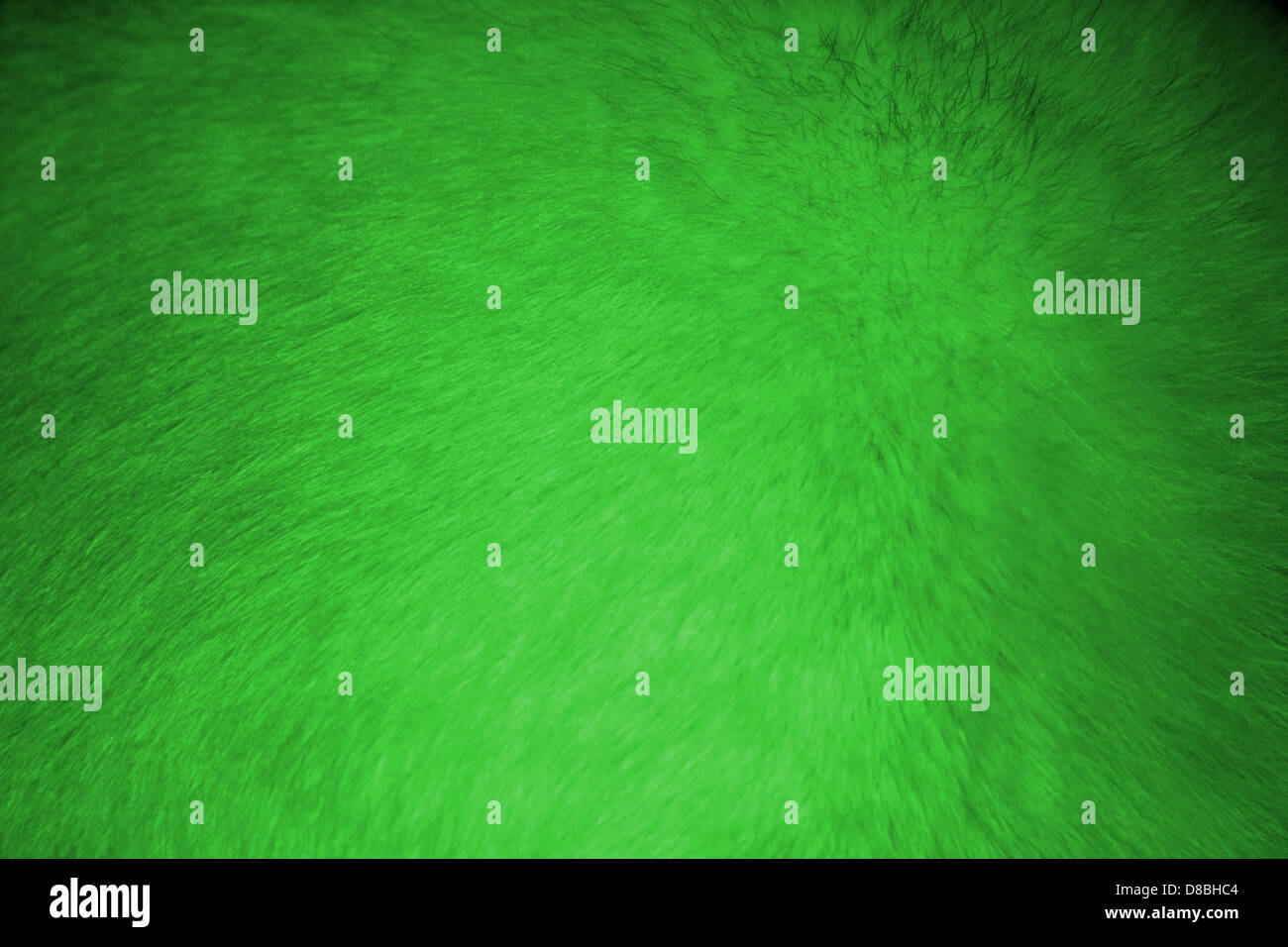 A close-up image of neon green fur, displaying a vivid and bright ...