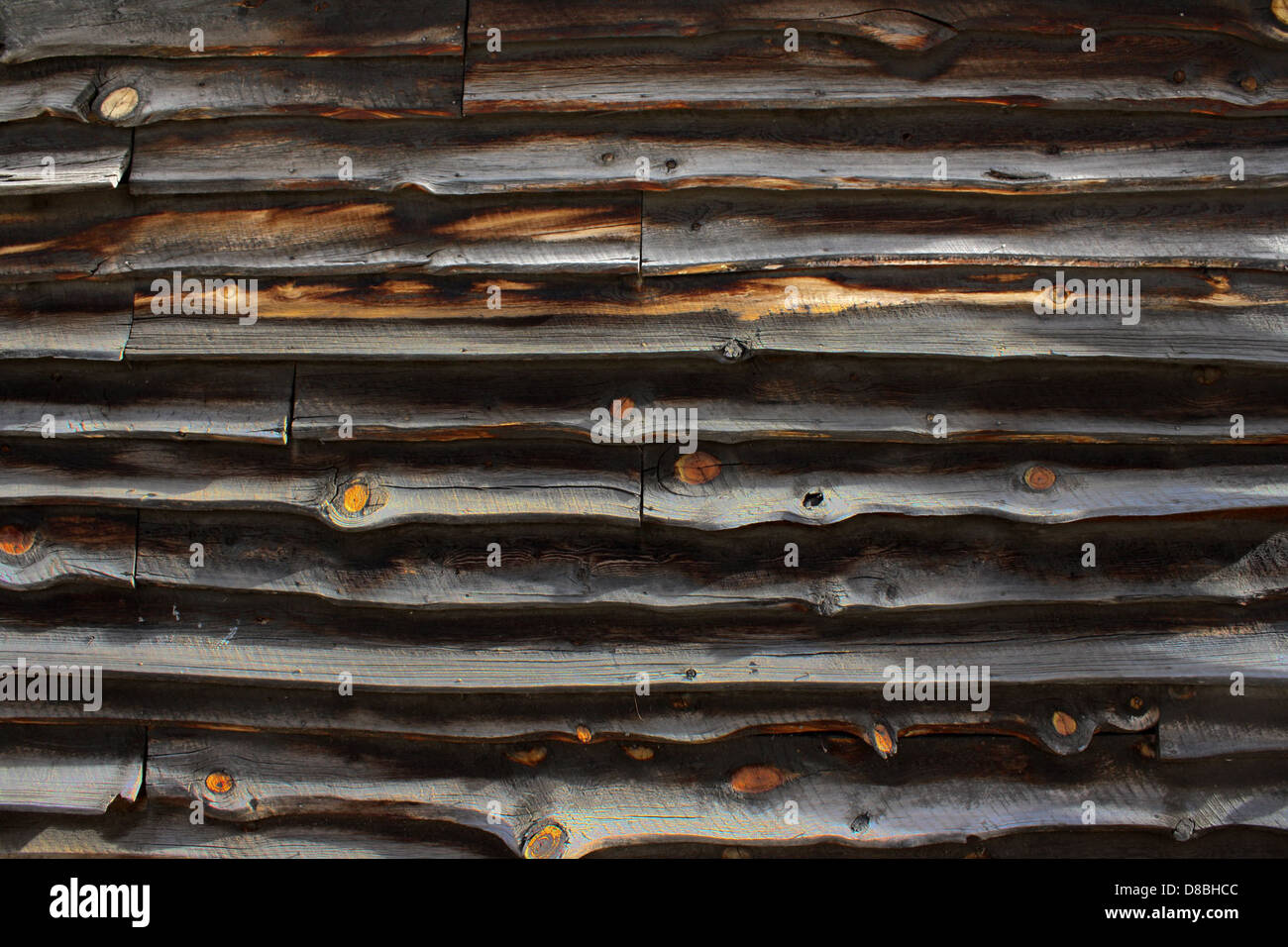 The weathered wood siding of an old barn displays a unique texture ...