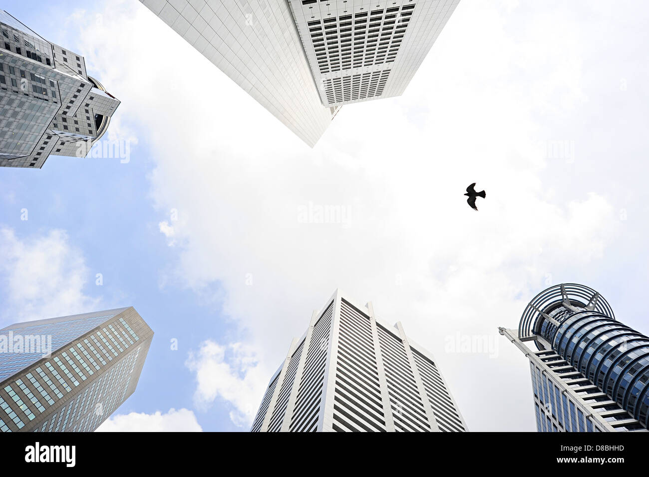 Bird flying between the modern skyscrapers in Singapore Stock Photo - Alamy