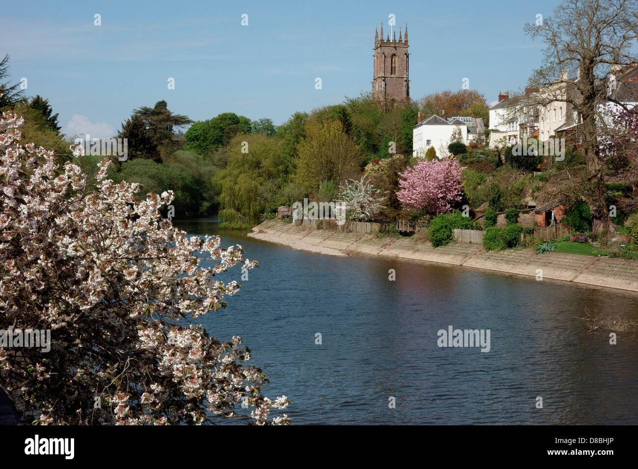 Tiverton, Devon with St Peter's Church and the River Exe Stock Photo ...