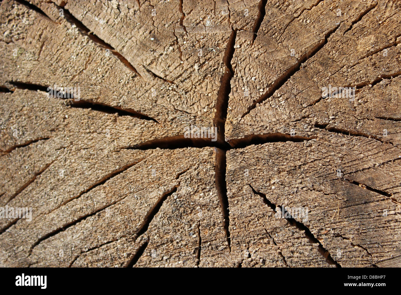 Pattern of dark wooden on cut of the tree with cracks Stock Photo - Alamy