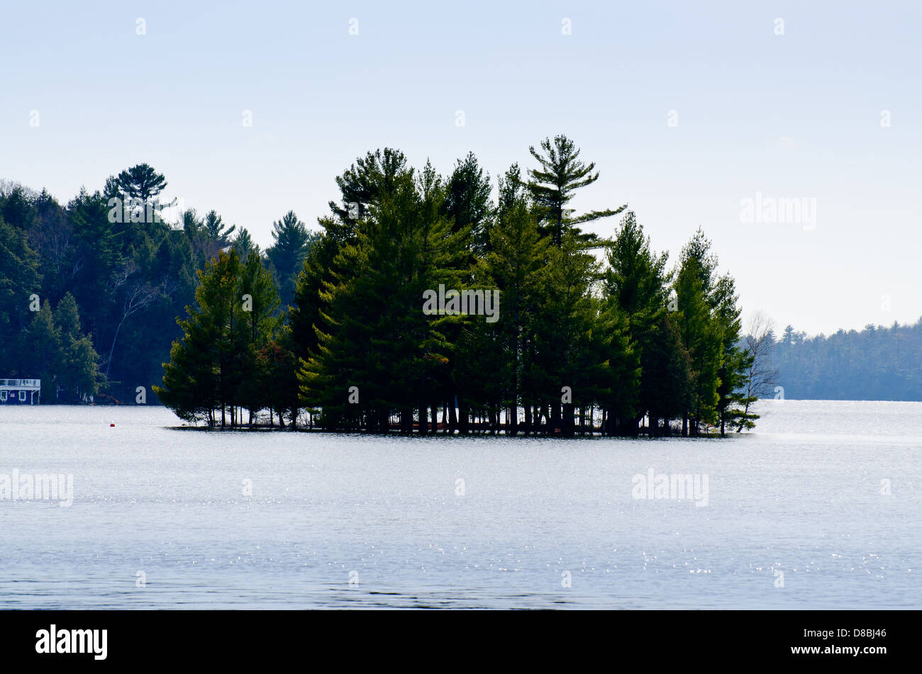 Flooded island with trees Stock Photo - Alamy