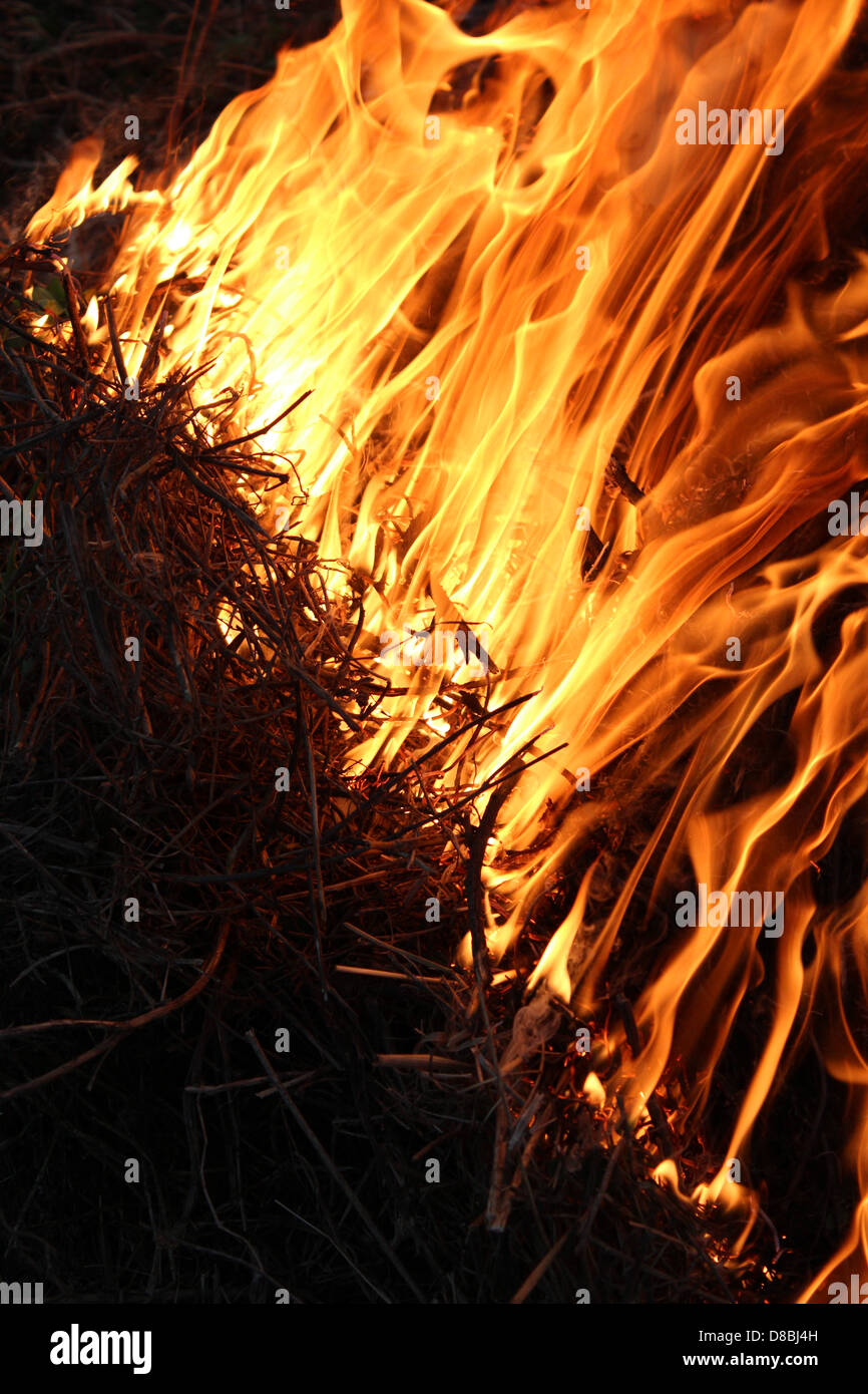 body of flame inflaming in a forest Stock Photo - Alamy