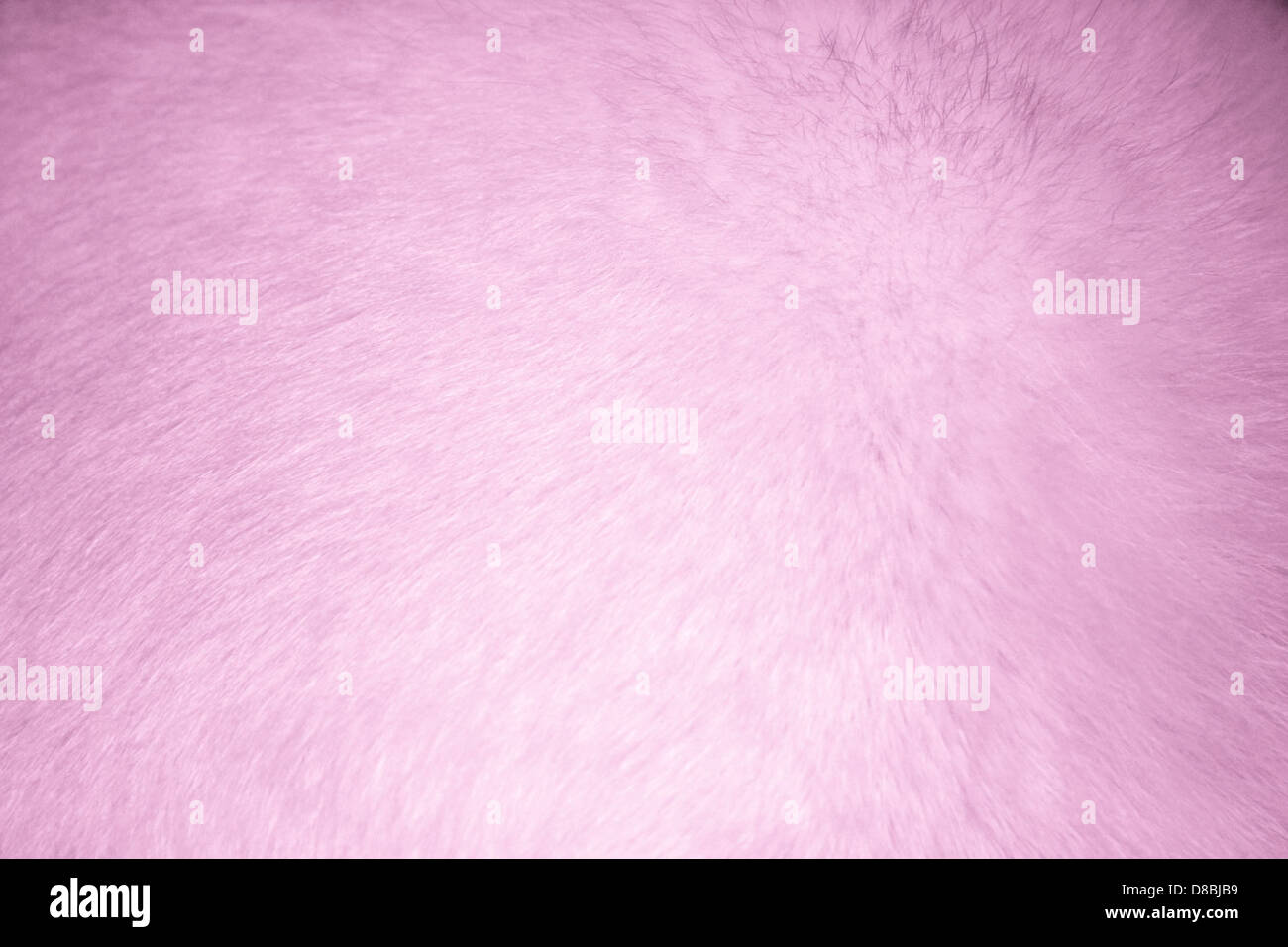 pink fur texture Stock Photo - Alamy