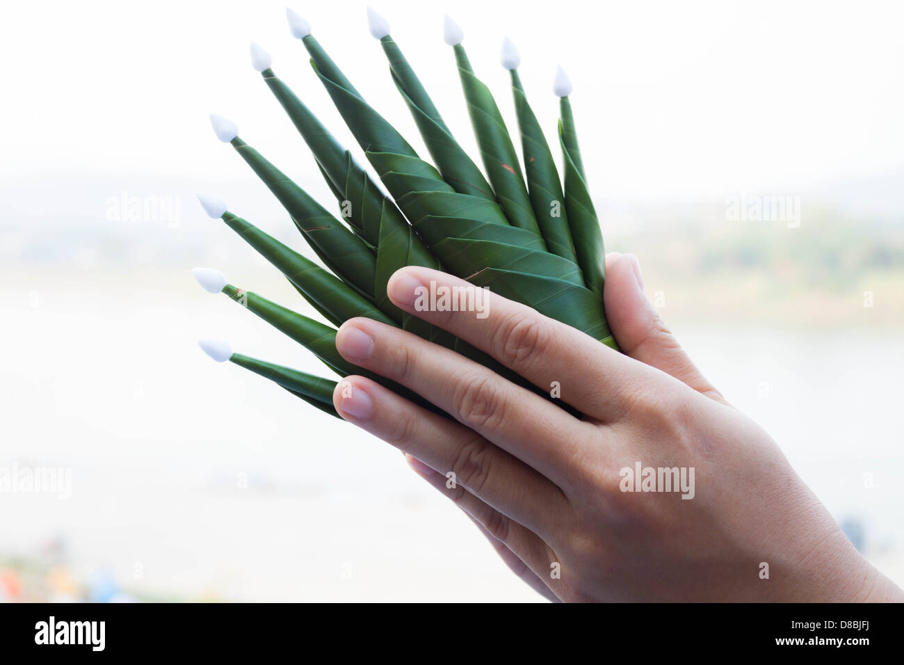 Hands pay respect rice offering to natural surroundings Stock Photo - Alamy
