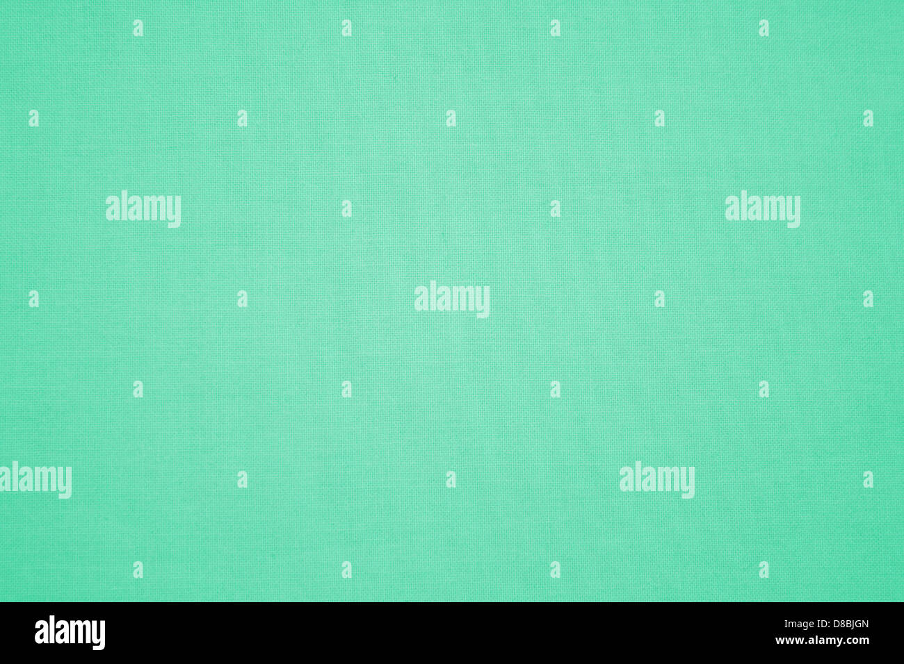 The image shows the texture of pistachio green canvas fabric. The ...