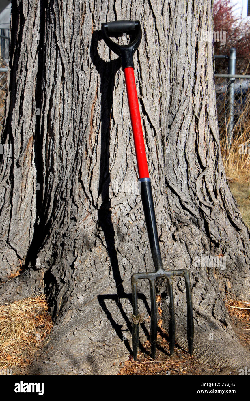 pitchfork leaning against tree Stock Photo - Alamy