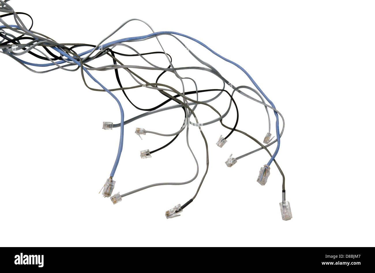 Plant made of computer cable Stock Photo - Alamy