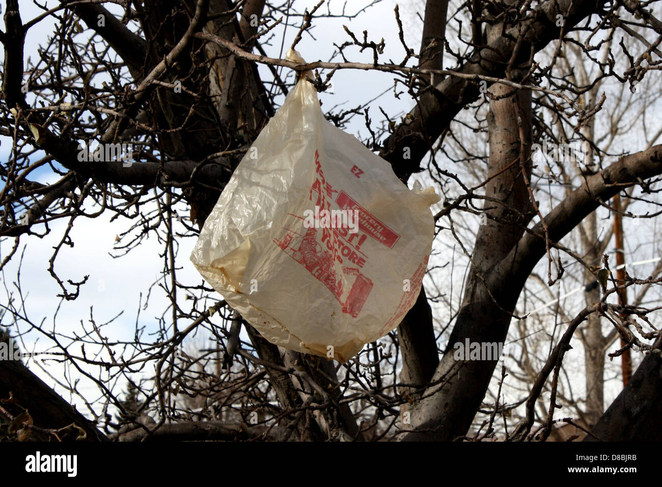 A plastic bag caught in the branches of a tree, symbolizing littering ...