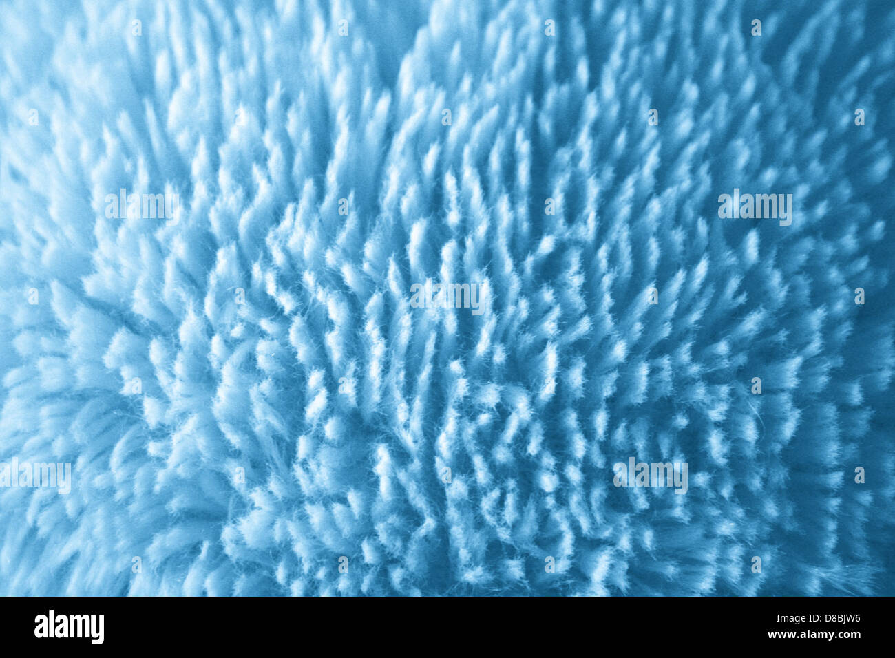 A close-up view of soft, plush baby blue fabric, showing its smooth ...