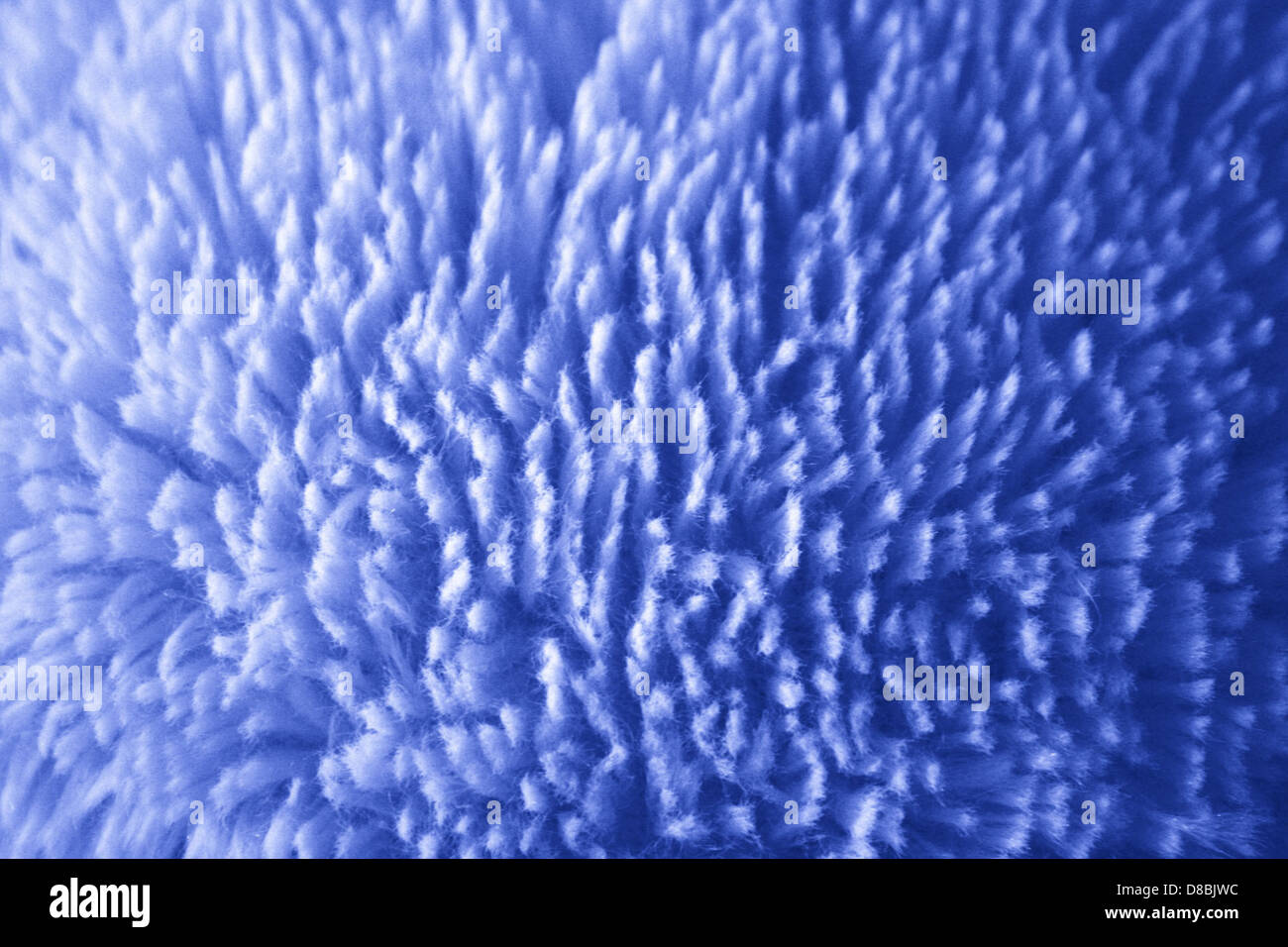 This close-up photo showcases the plush texture of blue fabric ...