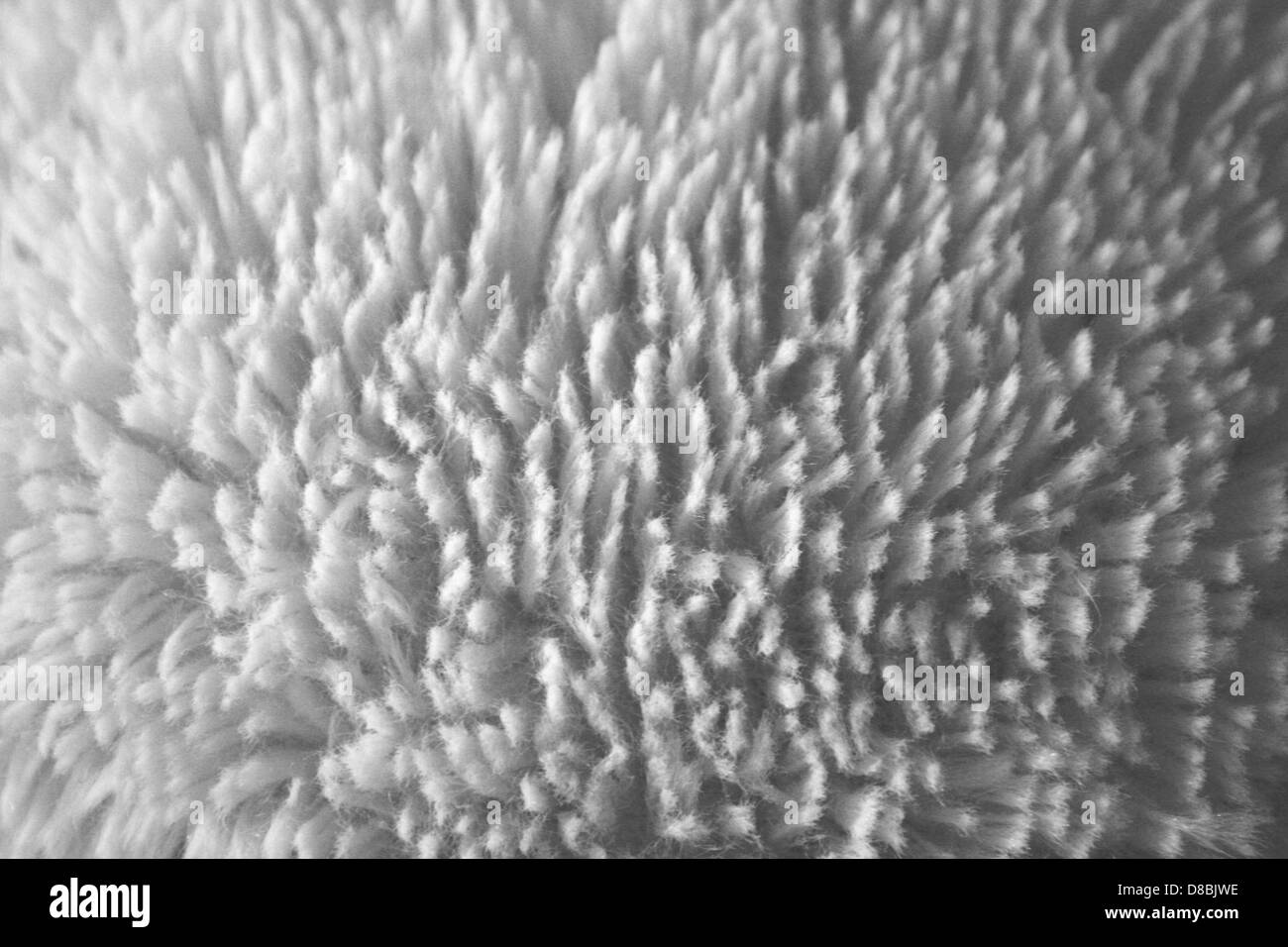 Plush texture Black and White Stock Photos & Images - Alamy